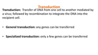 Gene transfer mechanisms in bacteria | PPT