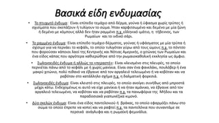 Ενδυμασία και μόδα, Ιωάννα Κουφού | PPTX