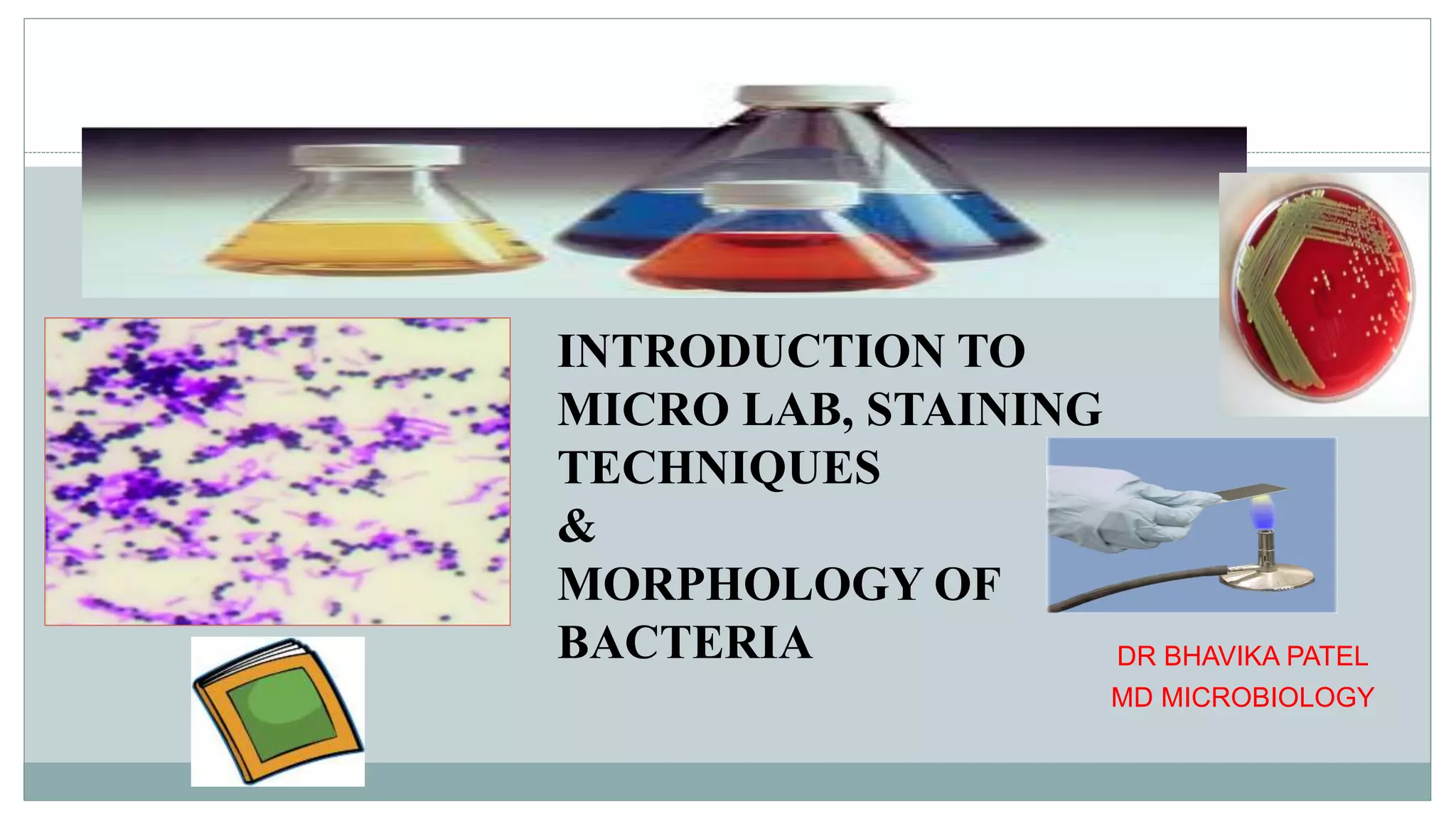 INTRODUCTION TO MICRO LAB, STAINING TECHNIQUES & MORPHOLOGY OF BACTERIA ...