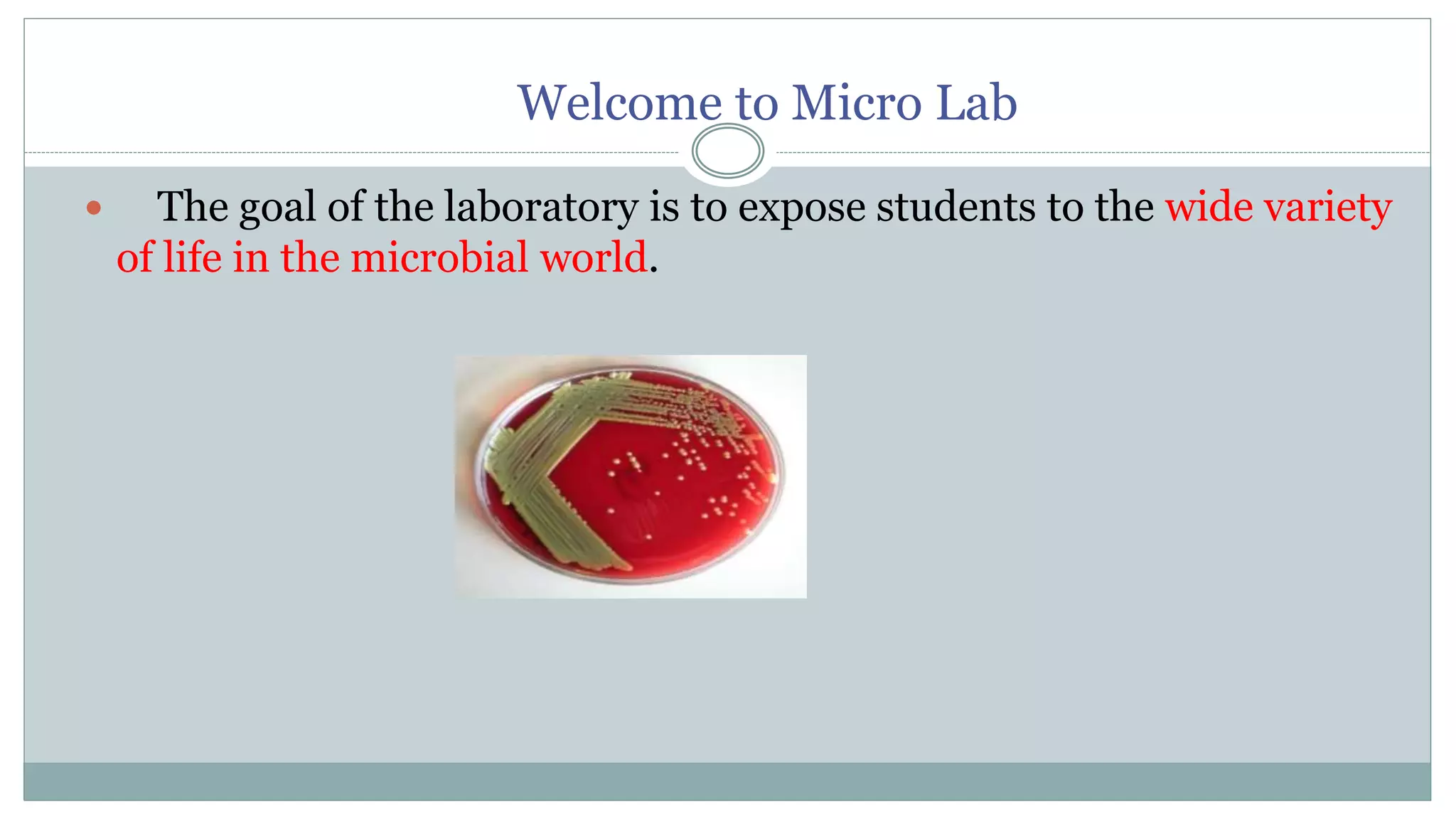 INTRODUCTION TO MICRO LAB, STAINING TECHNIQUES & MORPHOLOGY OF BACTERIA ...