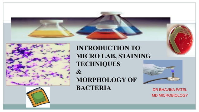 INTRODUCTION TO MICRO LAB, STAINING TECHNIQUES & MORPHOLOGY OF BACTERIA ...