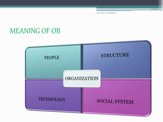 1. introduction to organizational behavior | PPT