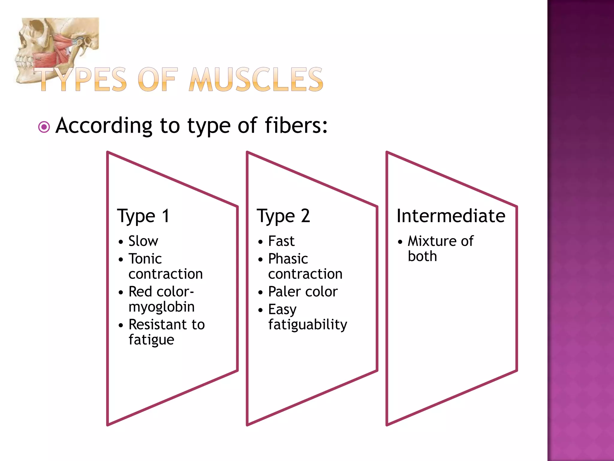 muscles of mastication and deglutition | PPT