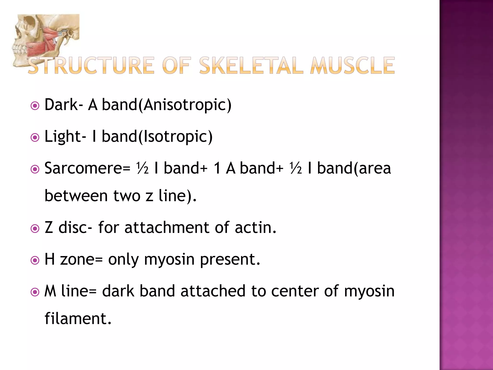 muscles of mastication and deglutition | PPT