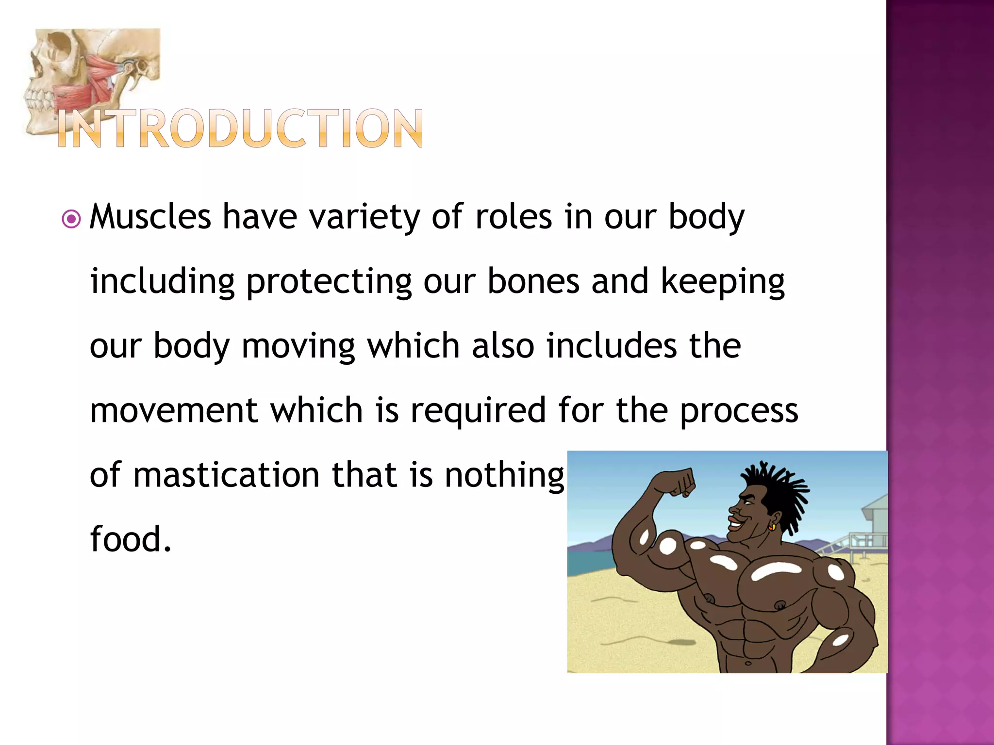 muscles of mastication and deglutition | PPT