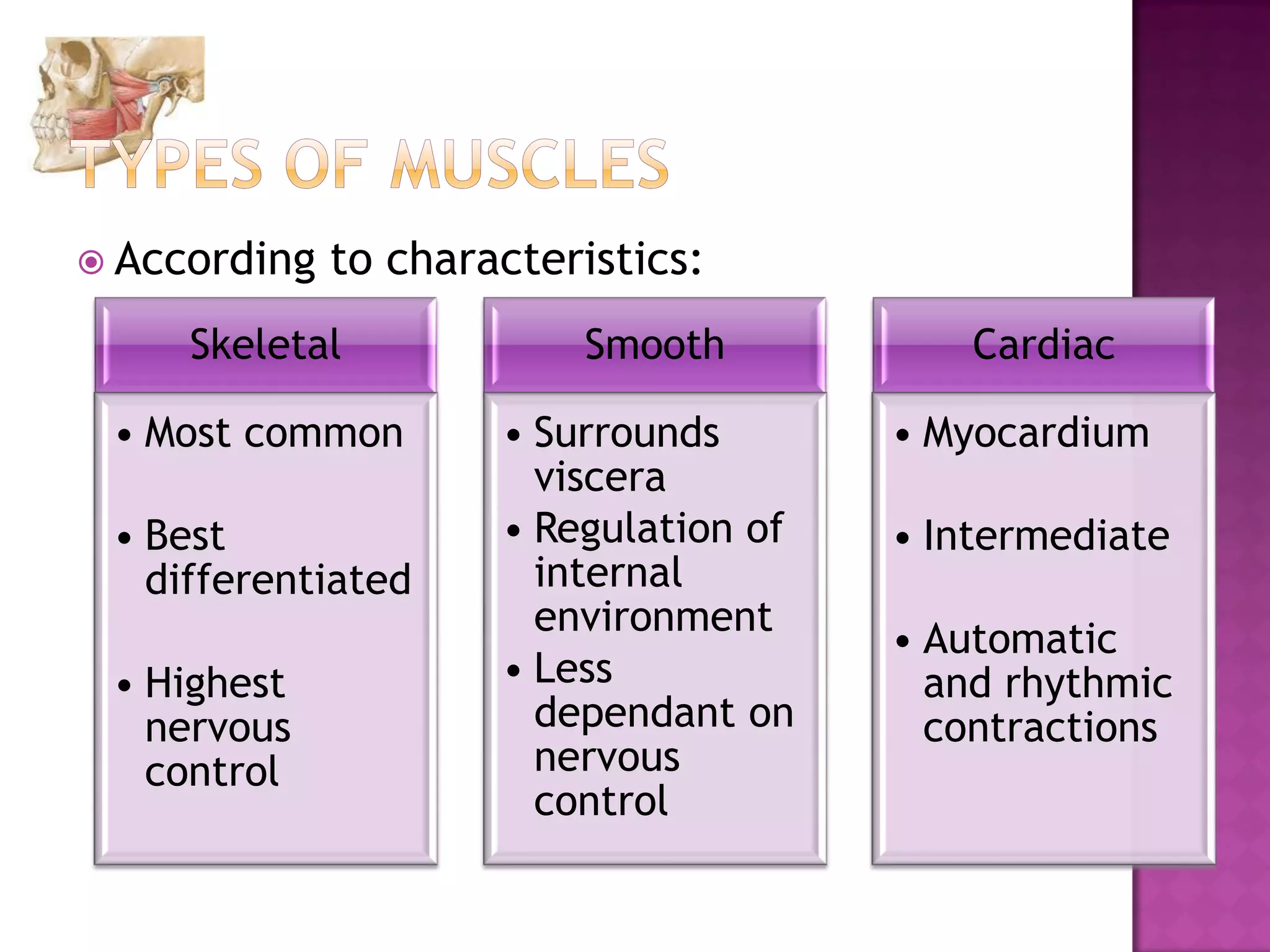 muscles of mastication and deglutition | PPT