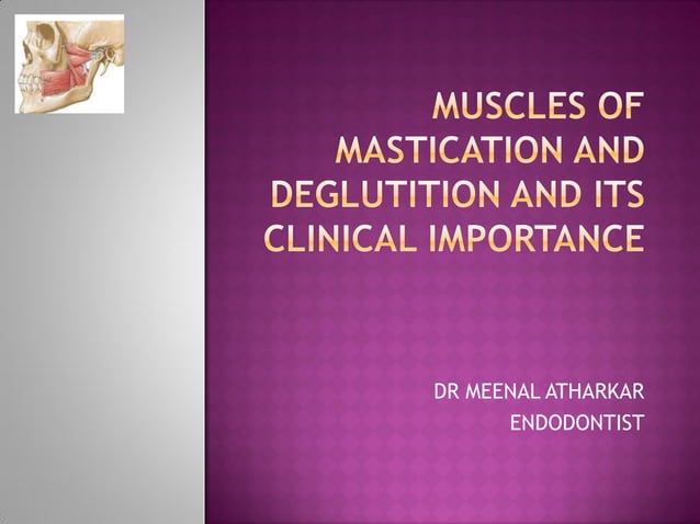 muscles of mastication and deglutition | PPT