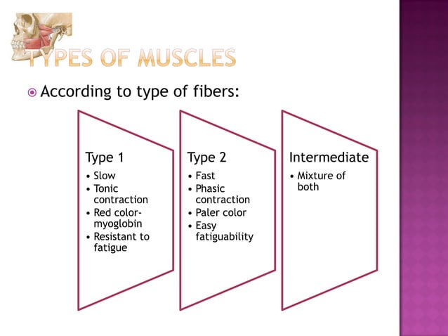 muscles of mastication and deglutition | PPT