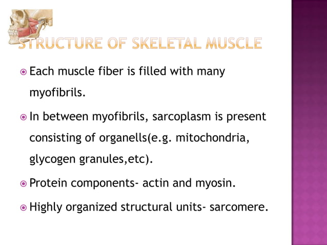 muscles of mastication and deglutition | PPT