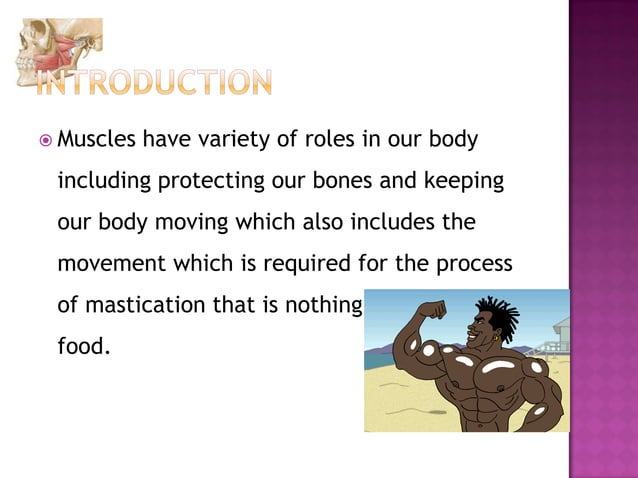 muscles of mastication and deglutition | PPT