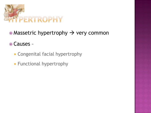muscles of mastication and deglutition | PPT