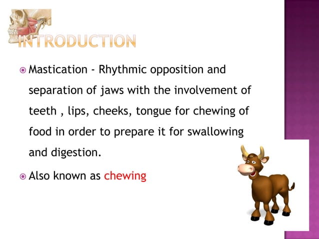 muscles of mastication and deglutition | PPT