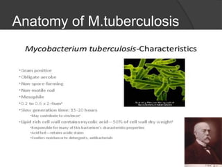 Tuberculosis | PPTX