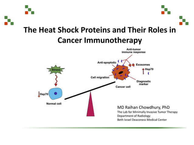 The Heat Shock Proteins and Their Roles in Cancer Immunotherapy | PPT