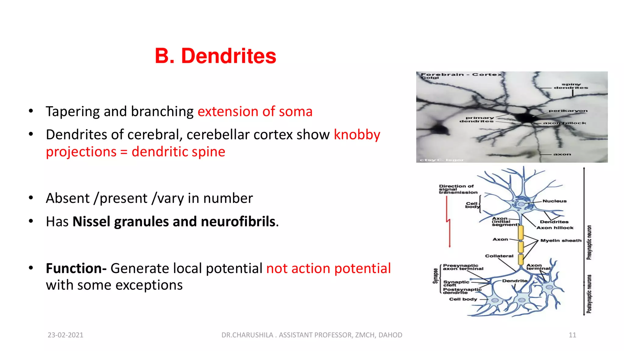 1. NM - Neuron structure | PPT