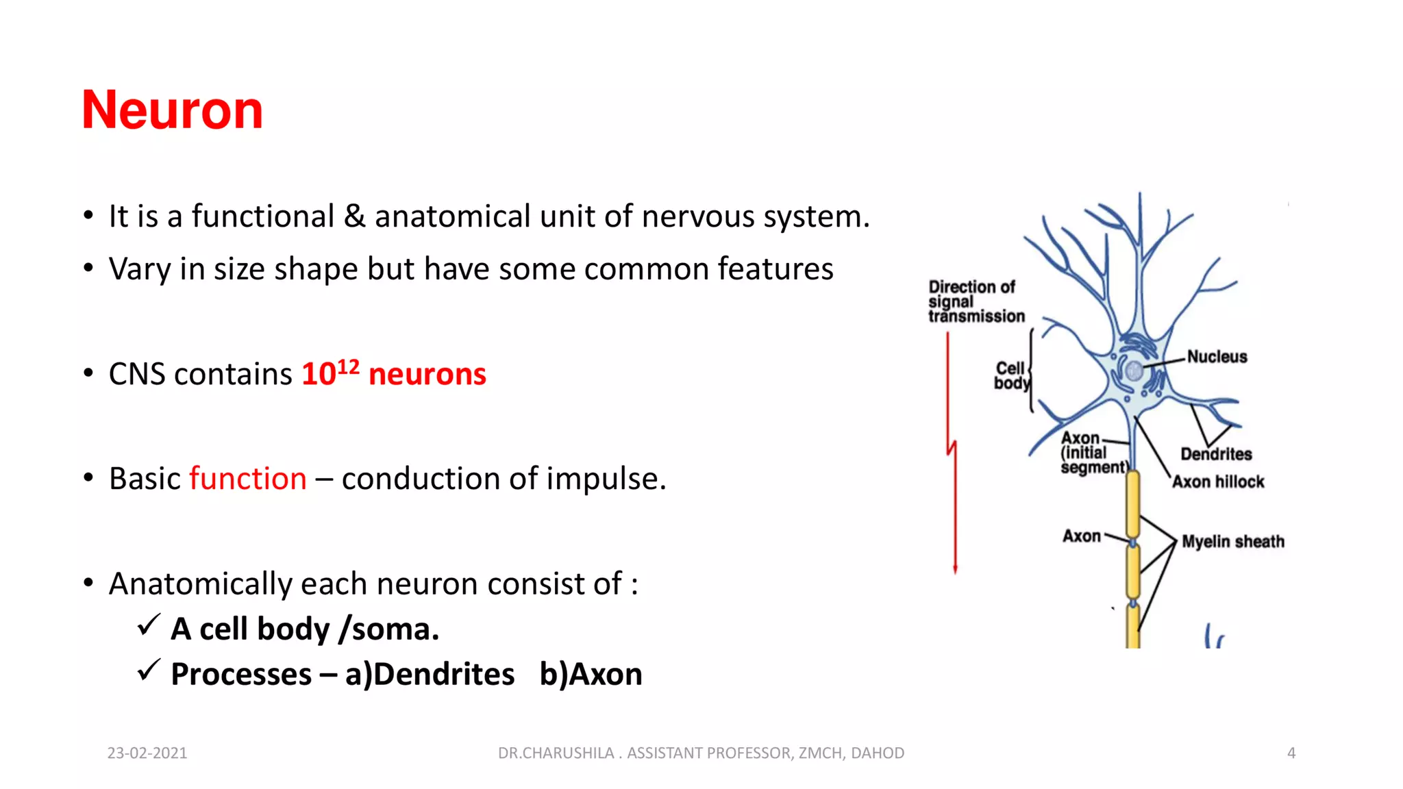 1. NM - Neuron structure | PPT