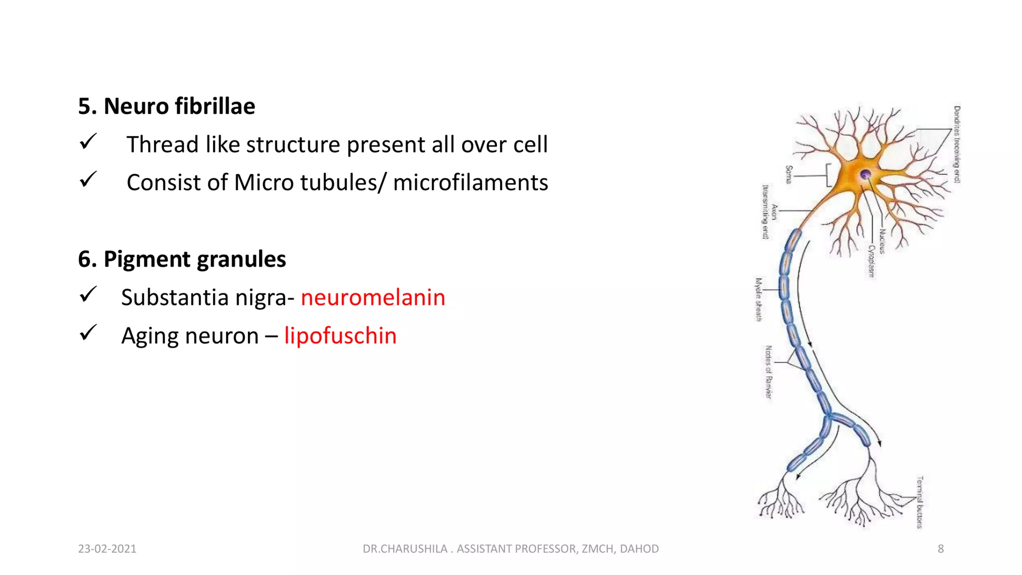 1. NM - Neuron structure | PPT