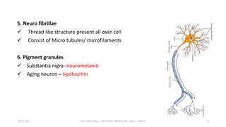 1. NM - Neuron structure | PDF