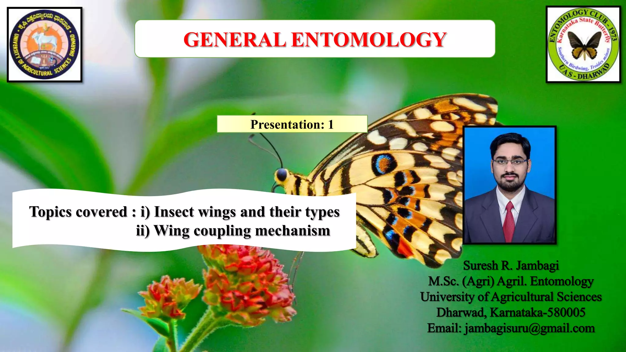 Insect wing, their modifications and wing coupling mechanism | PPTX ...