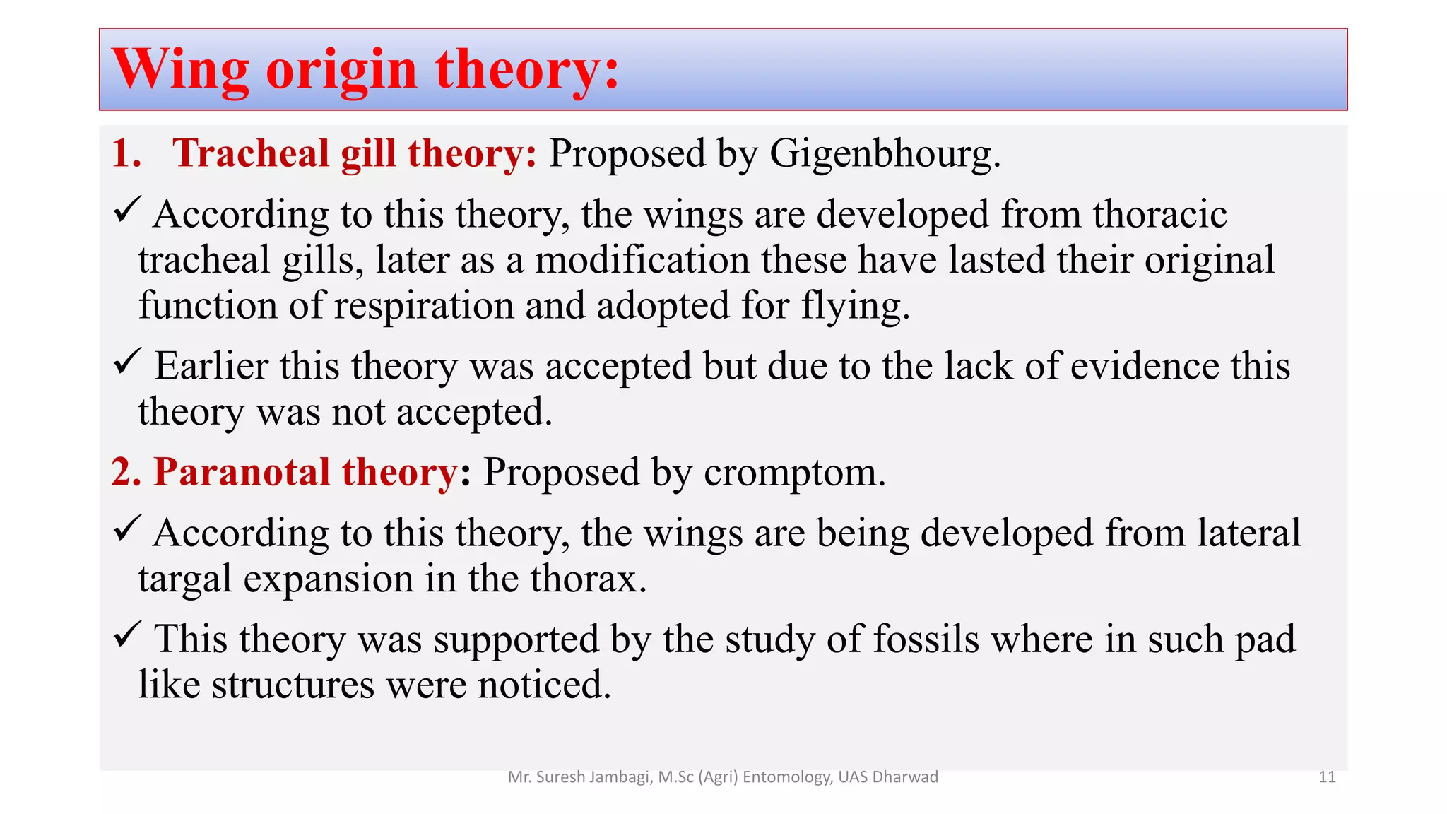 Insect wing, their modifications and wing coupling mechanism | PPTX
