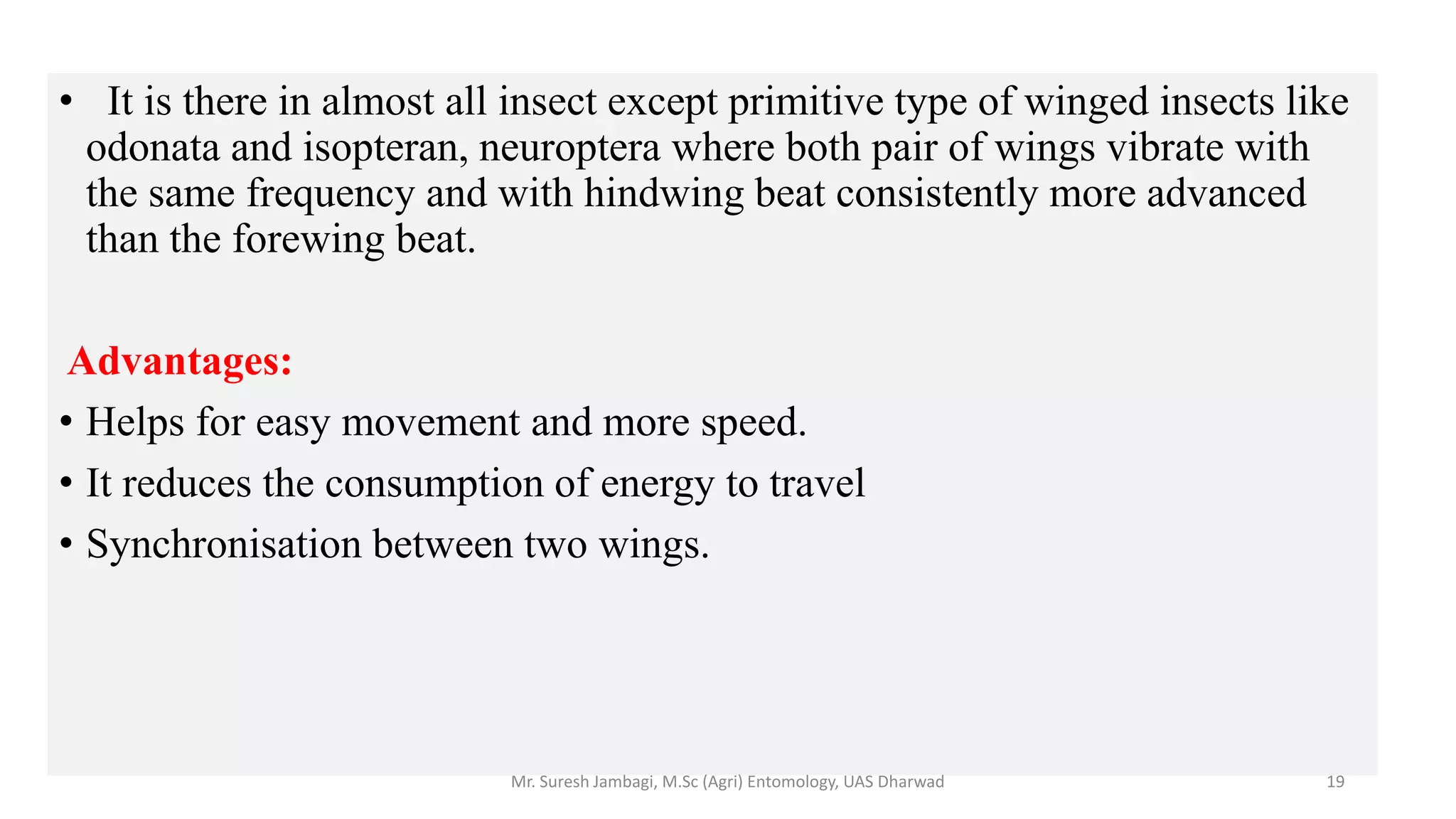 Insect wing, their modifications and wing coupling mechanism | PPTX