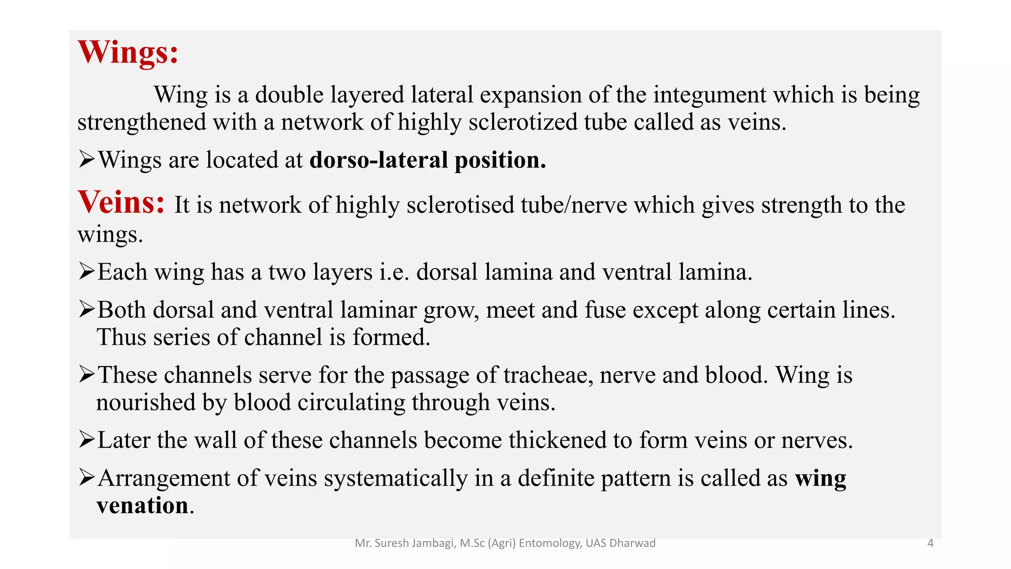 Insect wing, their modifications and wing coupling mechanism | PPTX