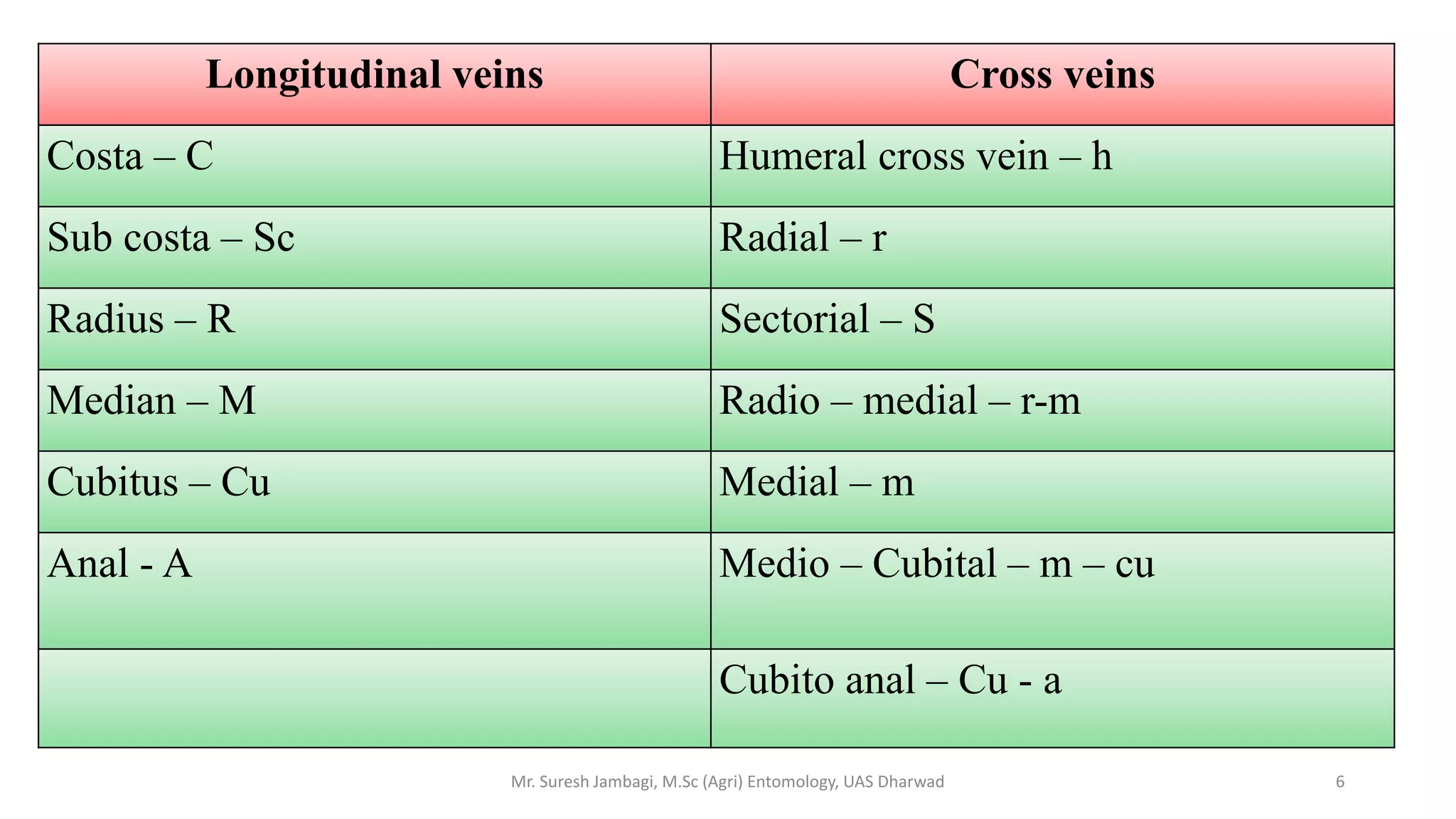 Insect wing, their modifications and wing coupling mechanism | PPTX