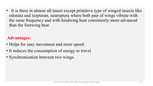 Insect wing, their modifications and wing coupling mechanism | PPTX ...