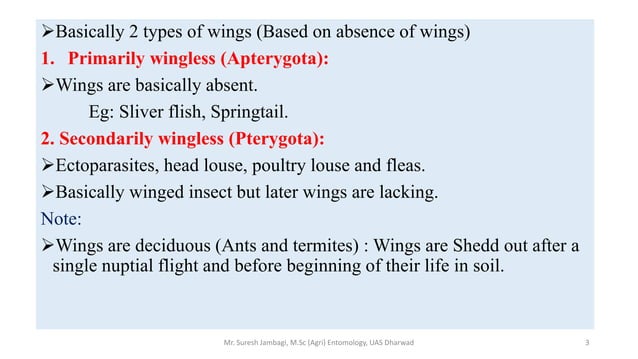 Insect wing, their modifications and wing coupling mechanism | PPTX ...