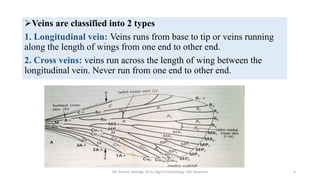 Insect wing, their modifications and wing coupling mechanism | PPTX