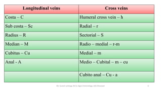 Insect wing, their modifications and wing coupling mechanism | PPTX