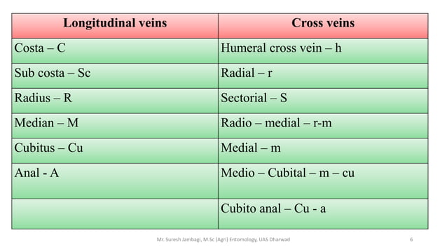 Insect wing, their modifications and wing coupling mechanism | PPTX ...