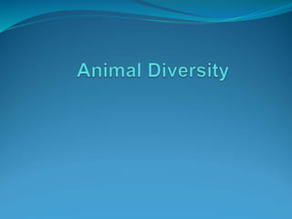 Animal Diversity ........ Introduction | PPT