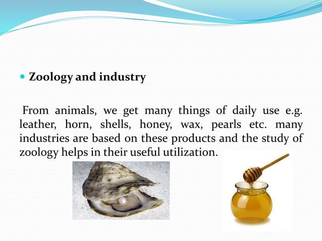 Animal Diversity ........ Introduction | PPT