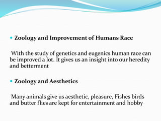 Animal Diversity ........ Introduction | PPT