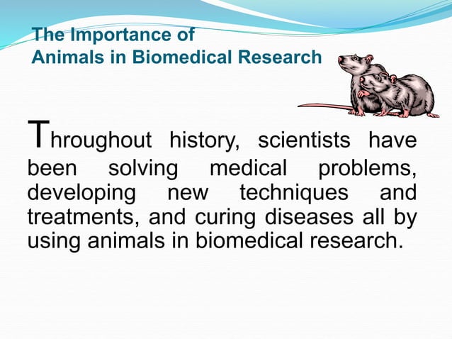 Animal Diversity ........ Introduction | PPT