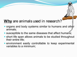 Animal Diversity ........ Introduction | PPT