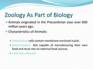 Animal Diversity ........ Introduction | PPT