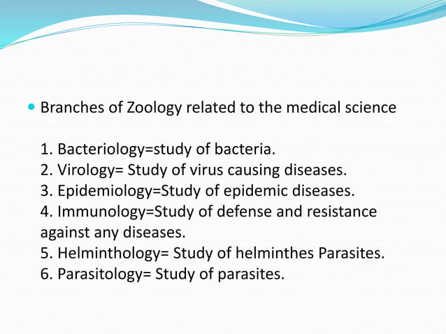 Animal Diversity ........ Introduction | PPT