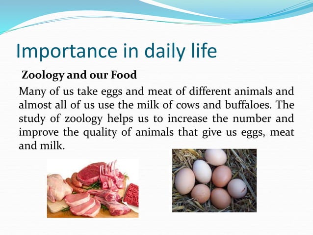 Animal Diversity ........ Introduction | PPT