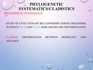 Classification , Phylogeny Pattern of Organization | PPT