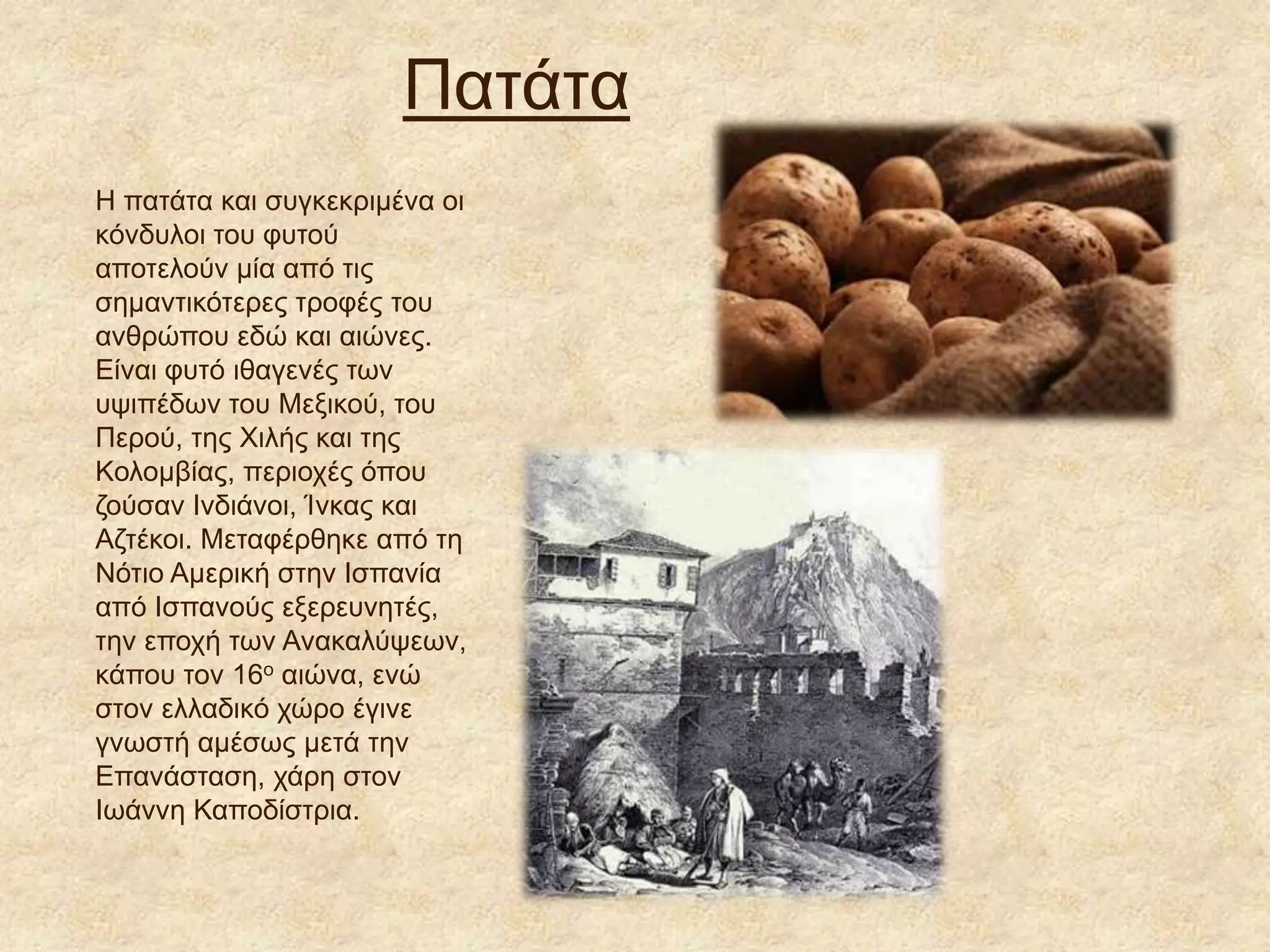 Ανακαλύψεις Νέων Χωρών: νέα προϊόντα, Μ.Βιδάλη-Στ.Γούλα | PPT
