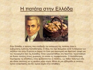 Ανακαλύψεις Νέων Χωρών: νέα προϊόντα, Μ.Βιδάλη-Στ.Γούλα | PPT