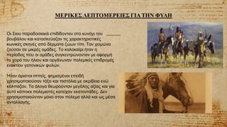 Οι ιθαγενείς της Β. Αμερικής τότε και τώρα,Γ.Ραχιώτη | PPT