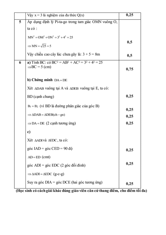Đề Thi HK2 Toán 7 - THCS Đồng Đen | PDF