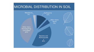 distribution of micro organisms in soil | PPTX