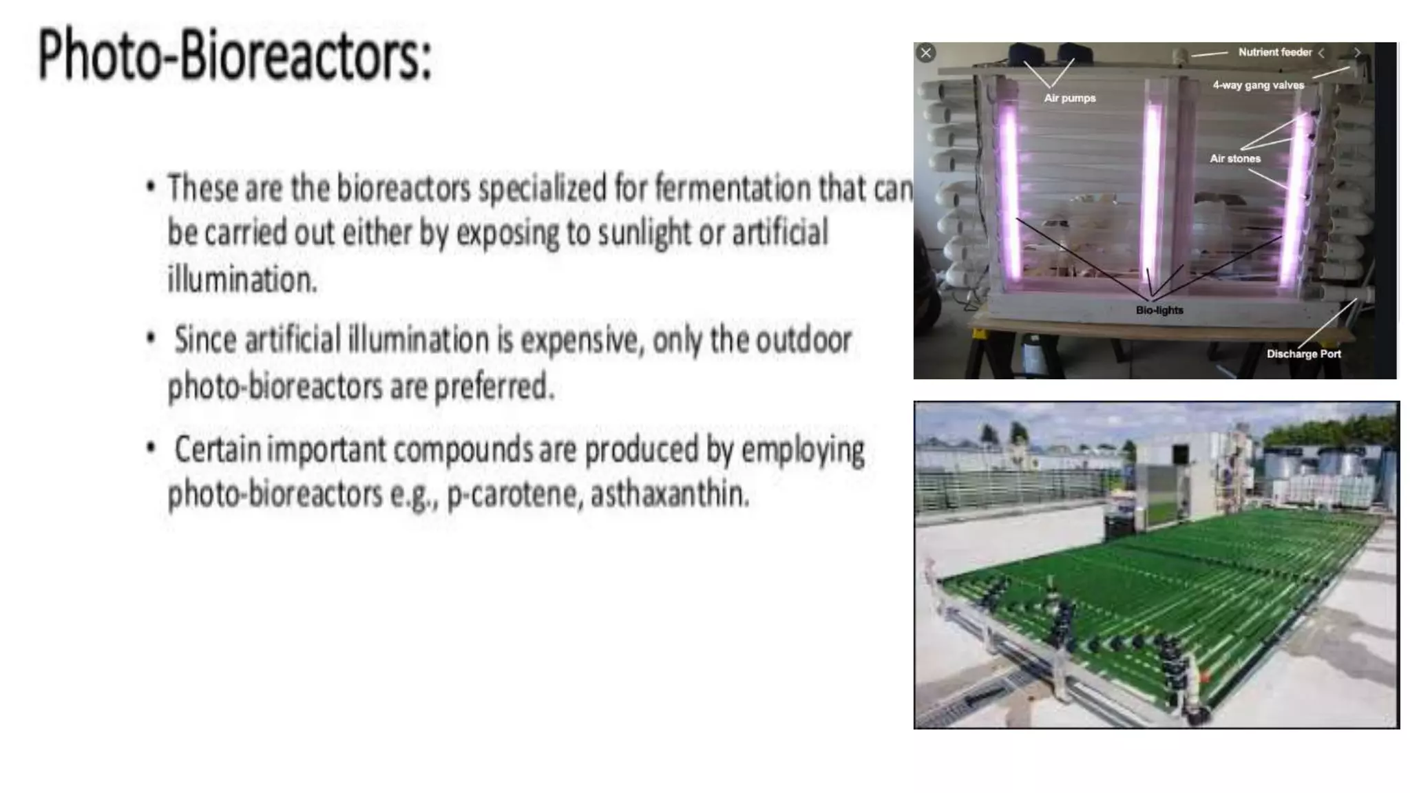 Introduction to industrial biotechnology | PPTX