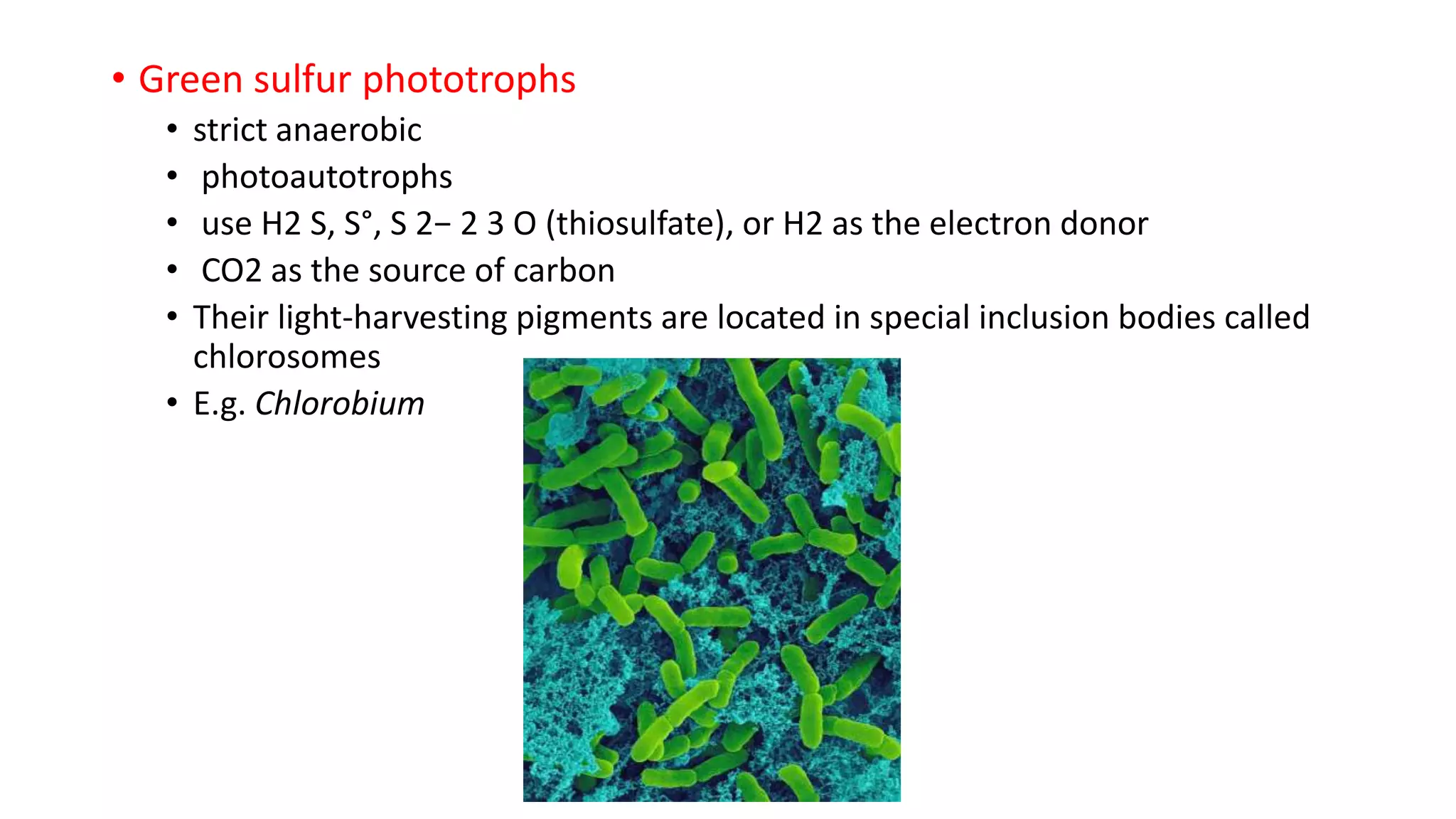 photosynthetic microorganisms (microbial metabolism) | PPTX