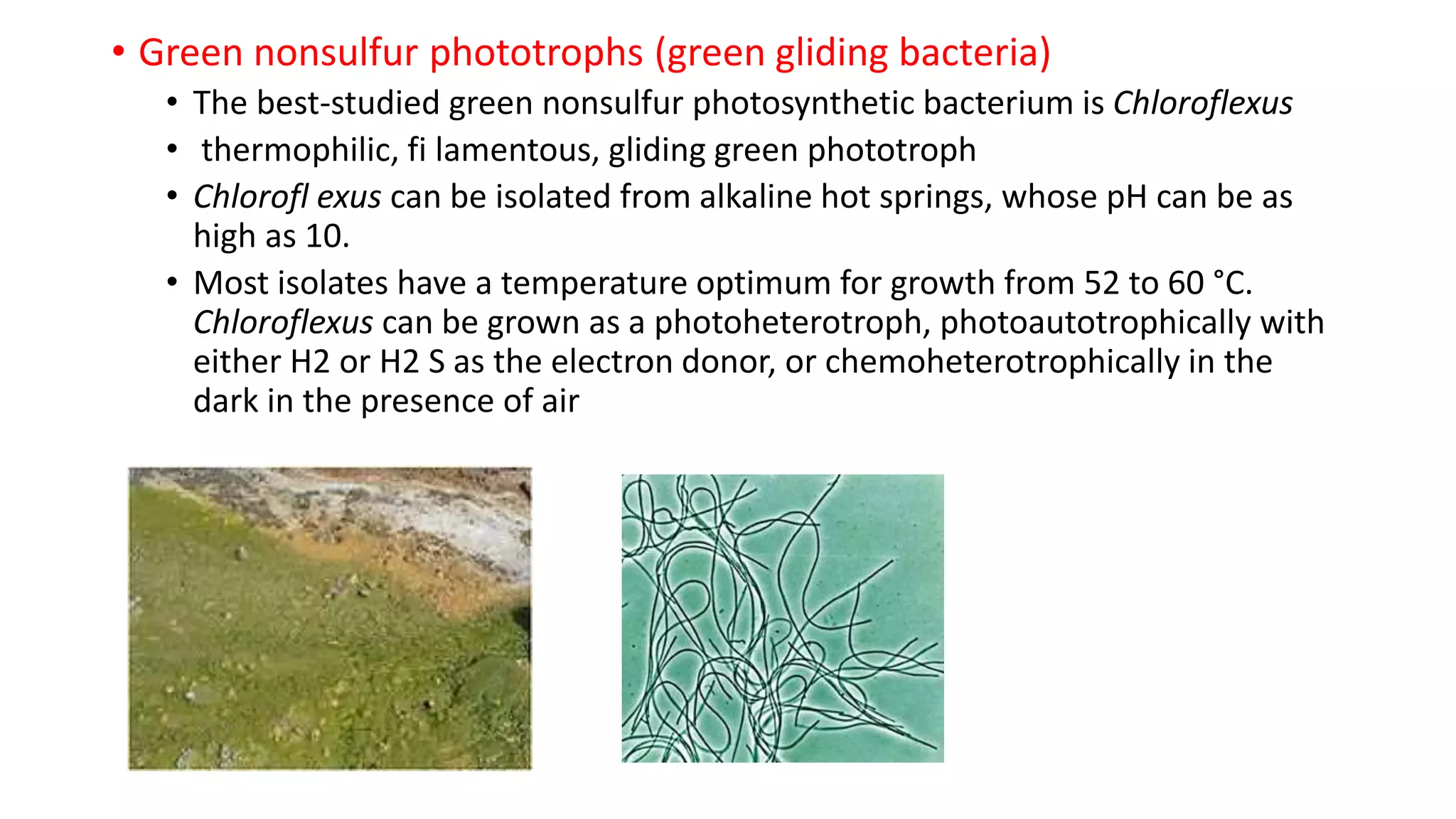 photosynthetic microorganisms (microbial metabolism) | PPTX