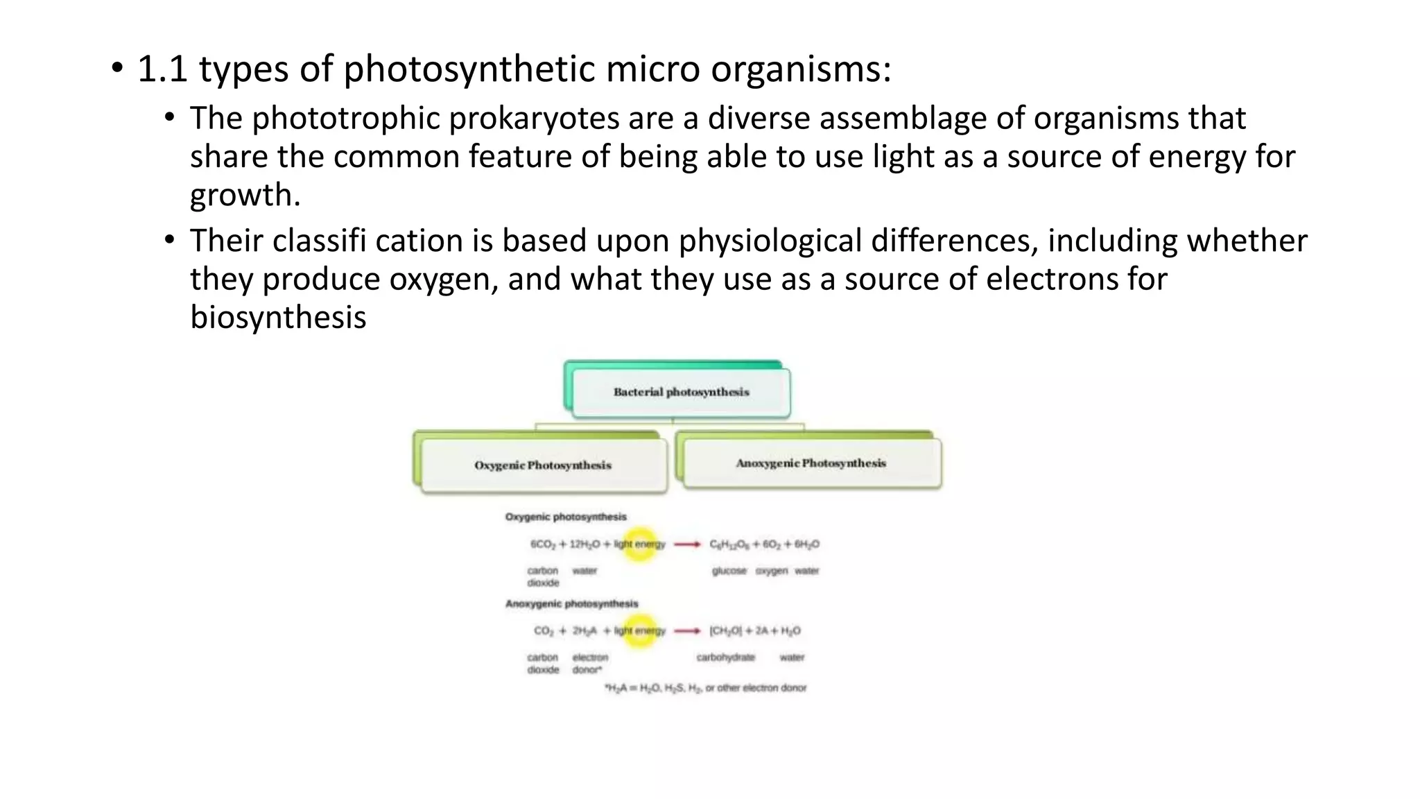 photosynthetic microorganisms (microbial metabolism) | PPTX